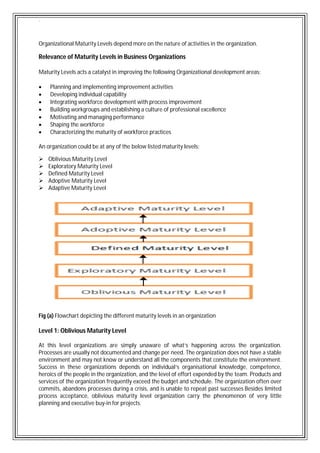 Maturity Levels in Business Organisations | PDF
