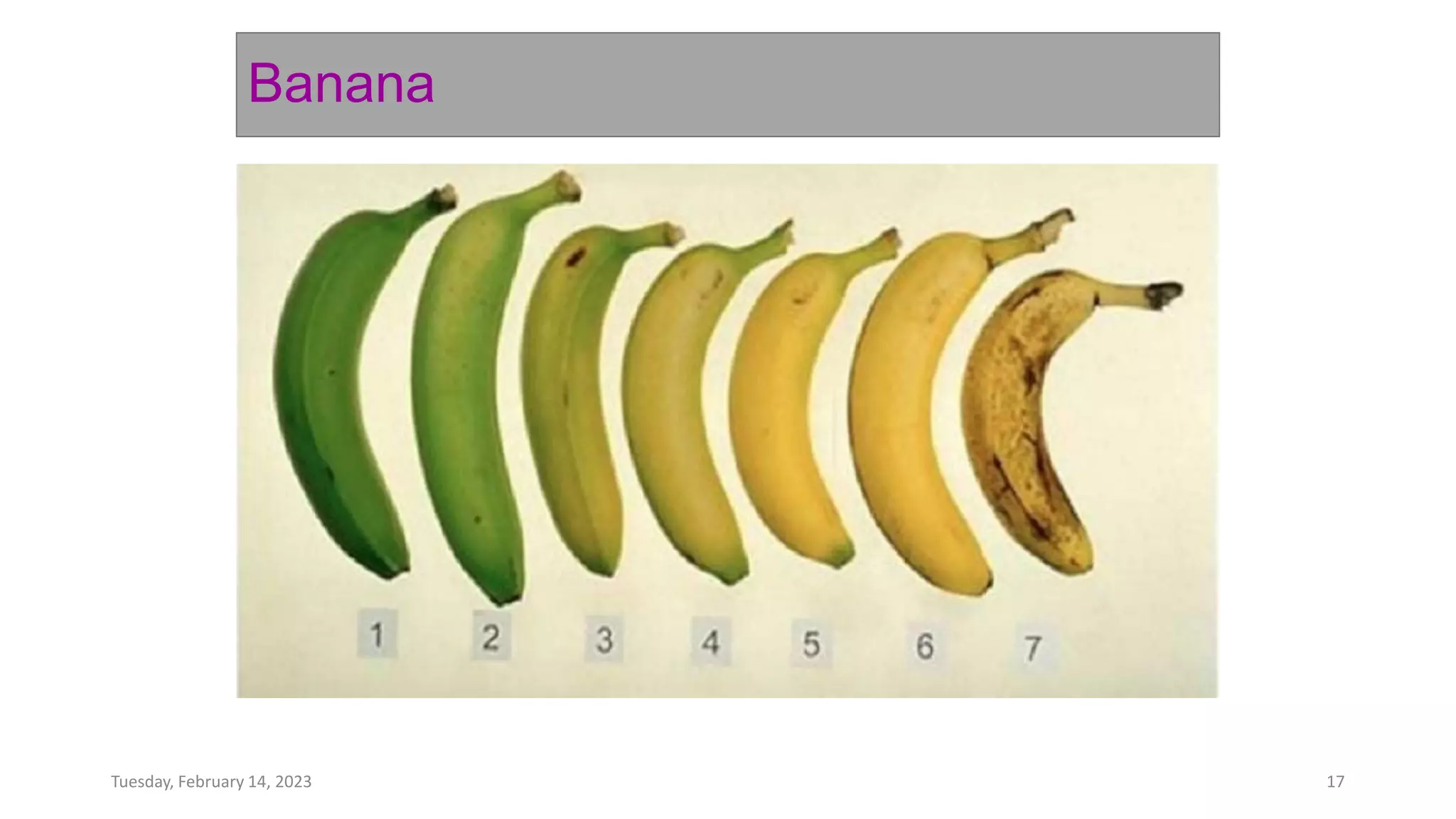Maturity & Maturity Indices of Fruits & Vegetables ppt 2023.pptx