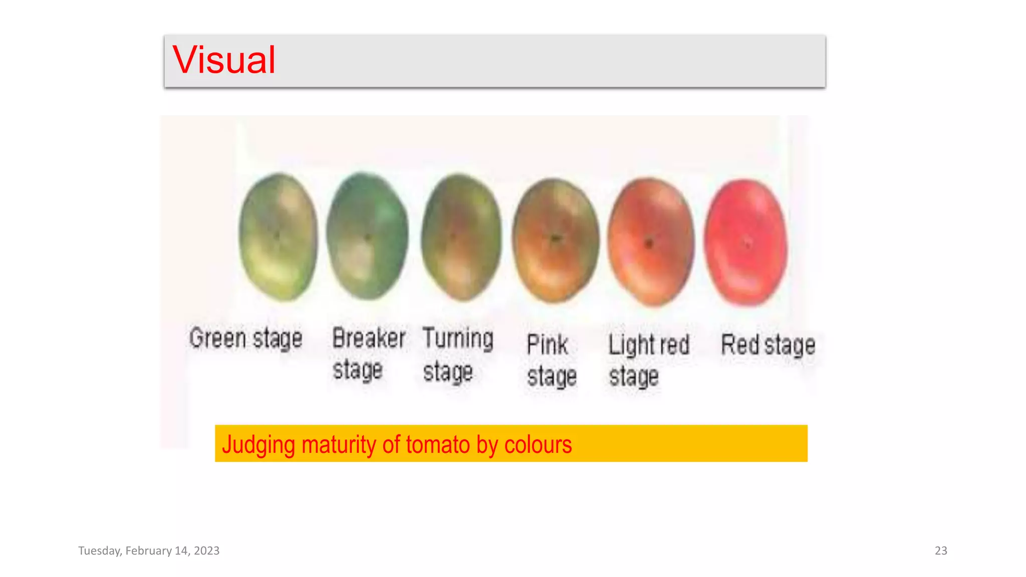 Maturity & Maturity Indices of Fruits & Vegetables ppt 2023.pptx