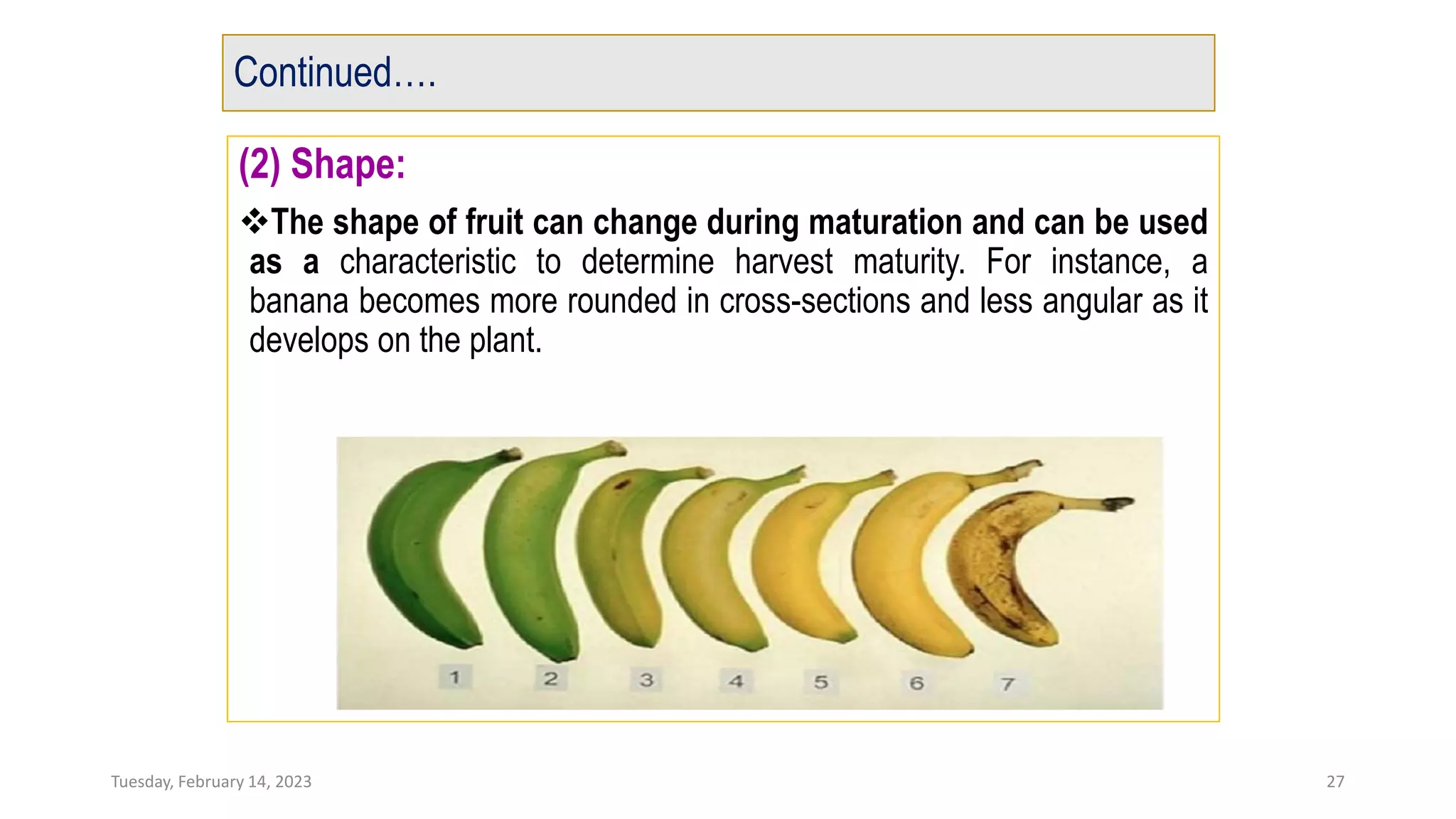 Maturity & Maturity Indices of Fruits & Vegetables ppt 2023.pptx