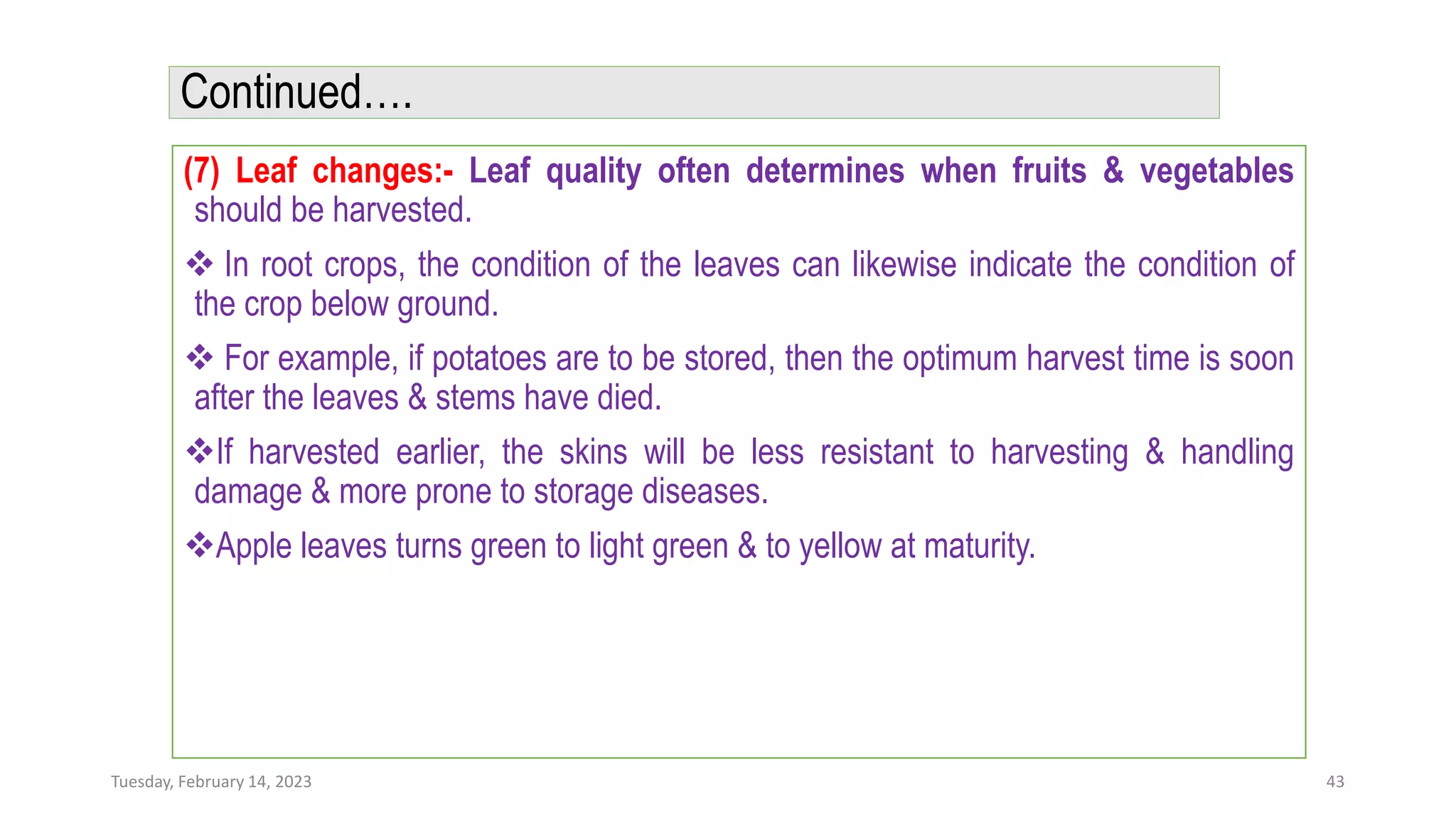Maturity & Maturity Indices of Fruits & Vegetables ppt 2023.pptx