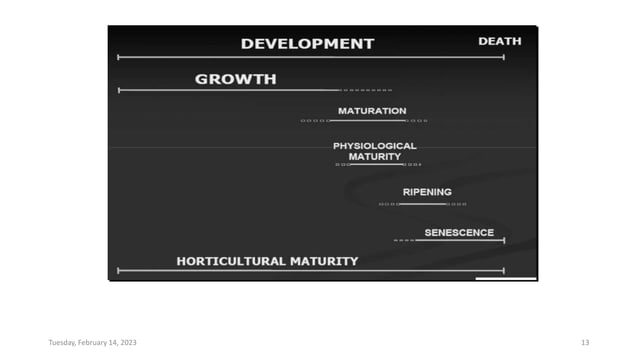 Maturity & Maturity Indices of Fruits & Vegetables ppt 2023.pptx