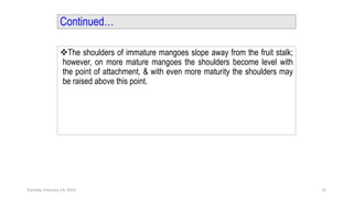 Maturity & Maturity Indices of Fruits & Vegetables ppt 2023.pptx