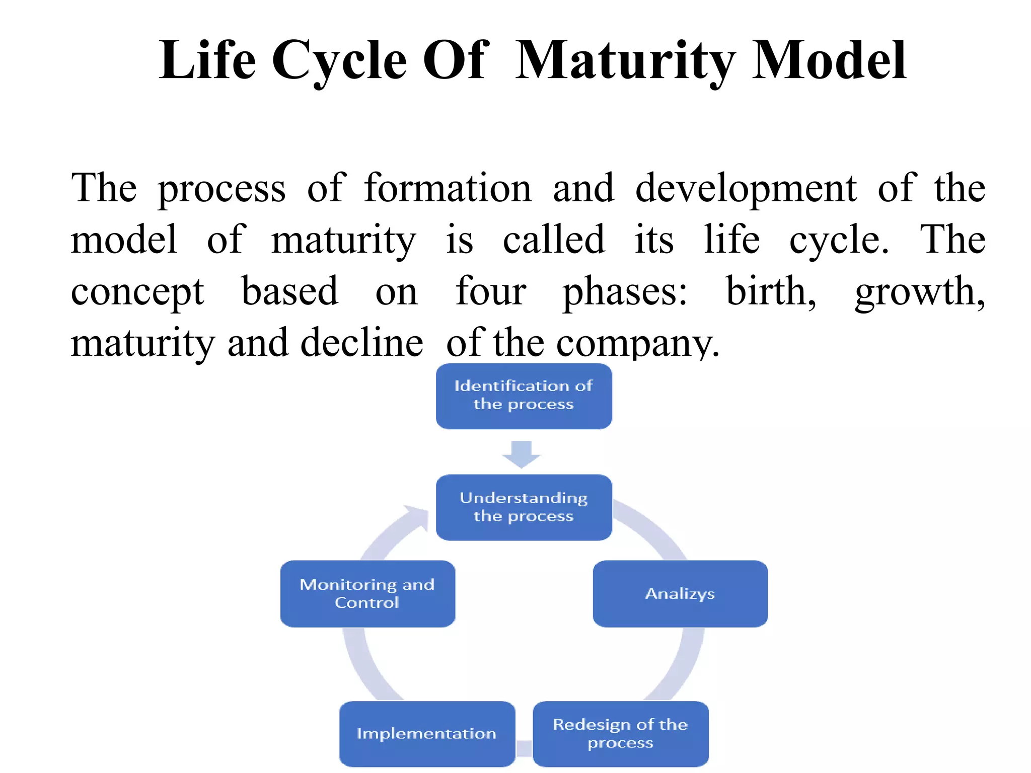 Maturity model | PDF | Business | Business and Finance