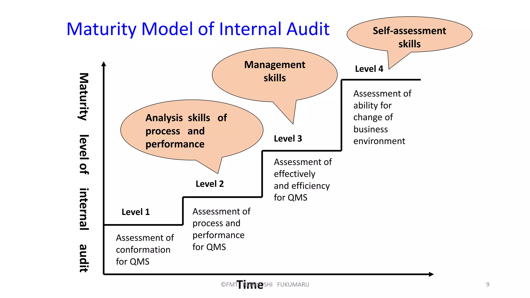 Maturity Model of Internal Audit | PDF