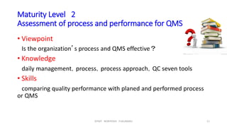 Maturity Model of Internal Audit | PDF