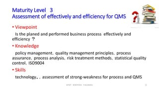 Maturity Model of Internal Audit | PDF