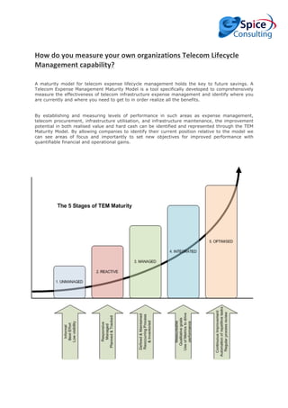 Maturity model tem gscl v1 | PDF