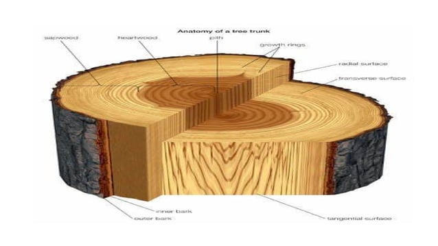 MATVE-WOOD-WORKING-1.pptx.................. | PPTX
