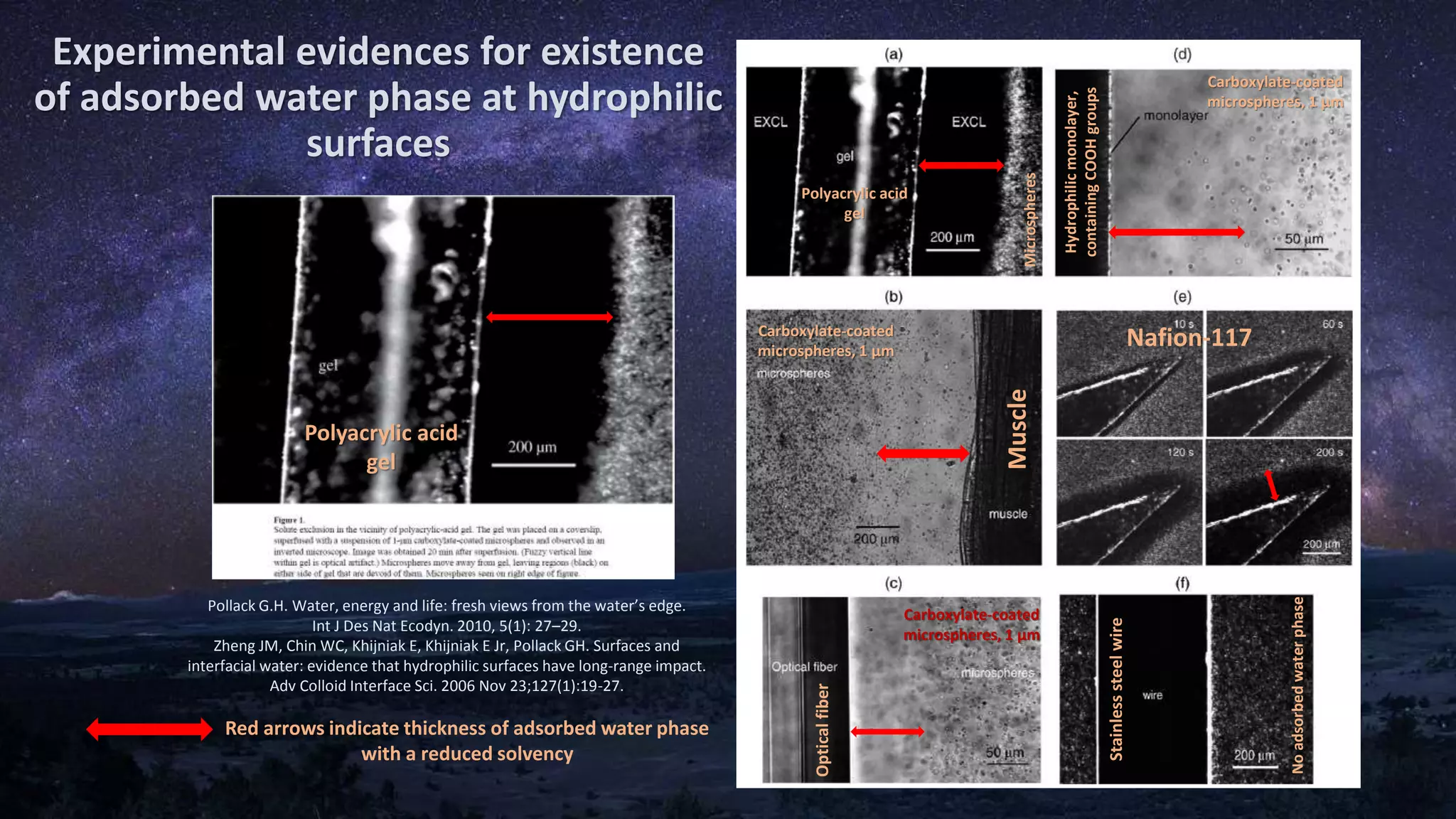 The great basic question of science: Membrane compartment or non ...