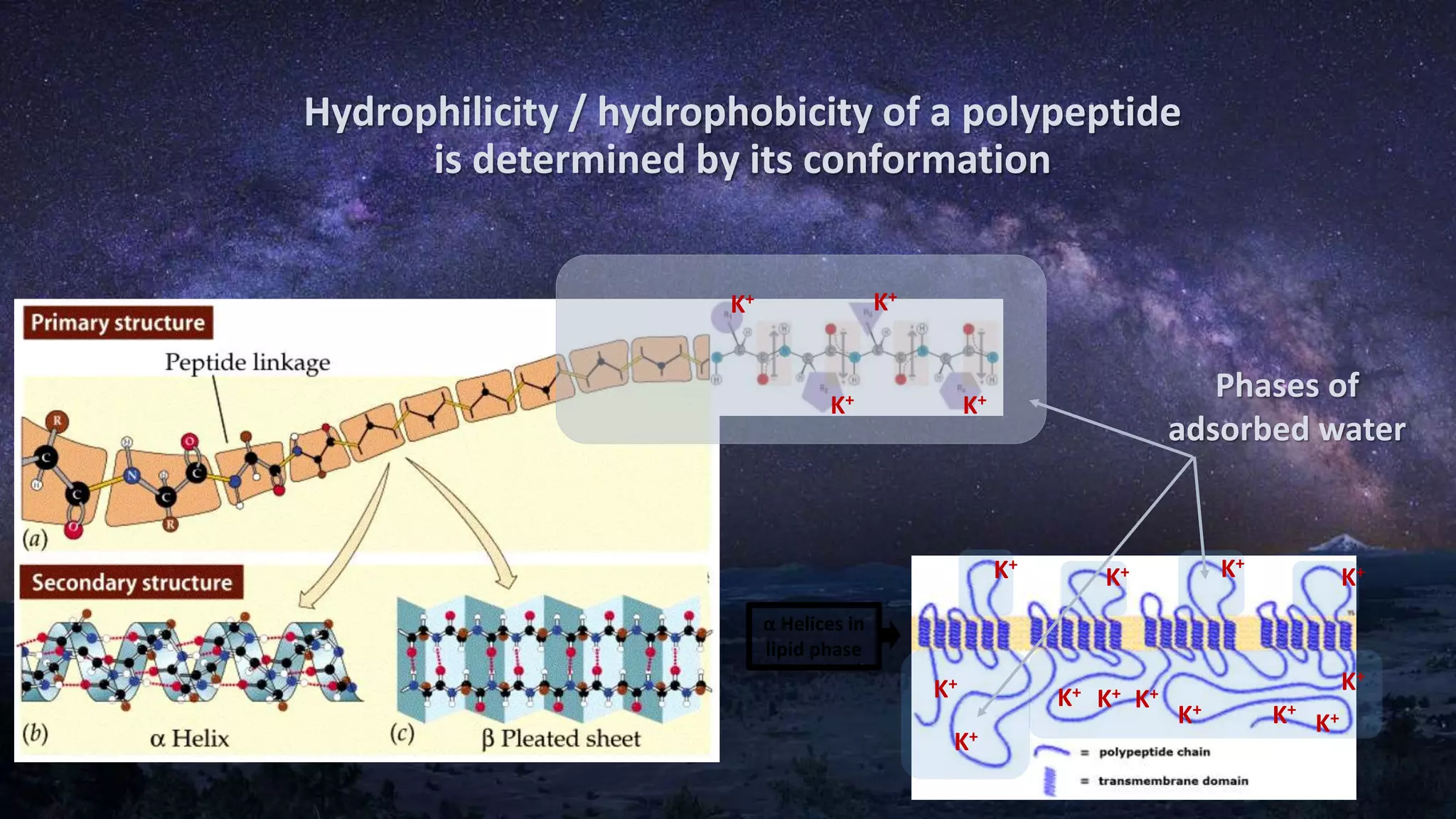 The great basic question of science: Membrane compartment or non ...