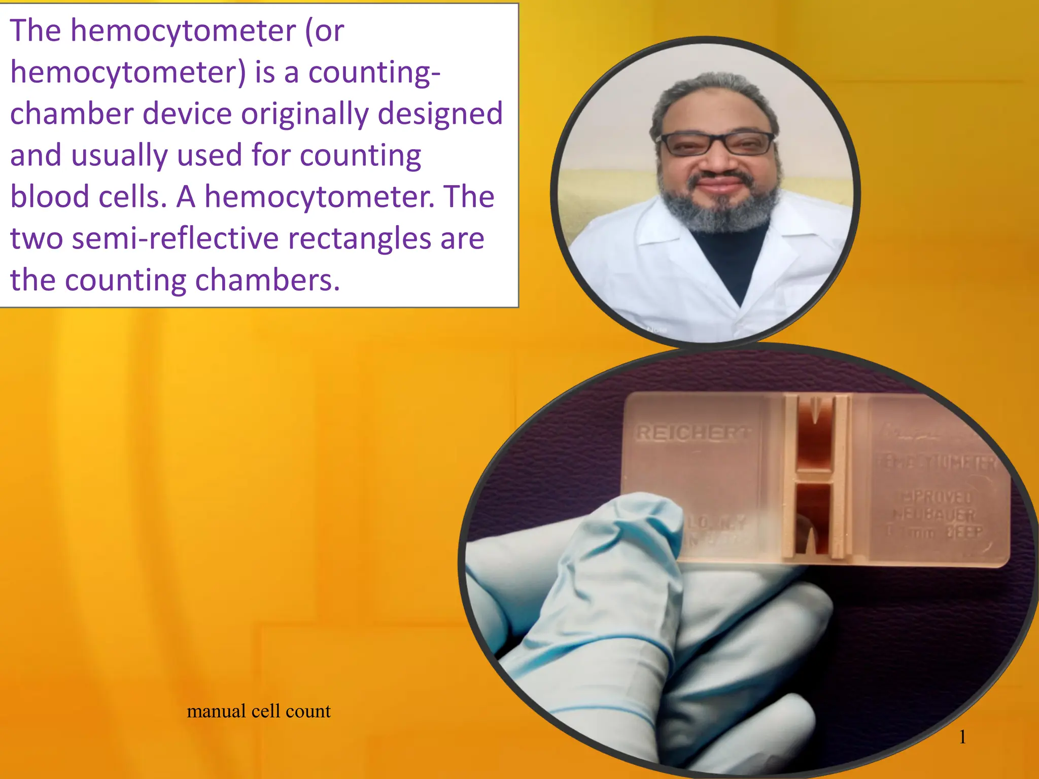 manual cell count.pdf | Blood Disorders | Diseases and Conditions