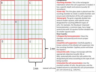 manual cell count.pdf