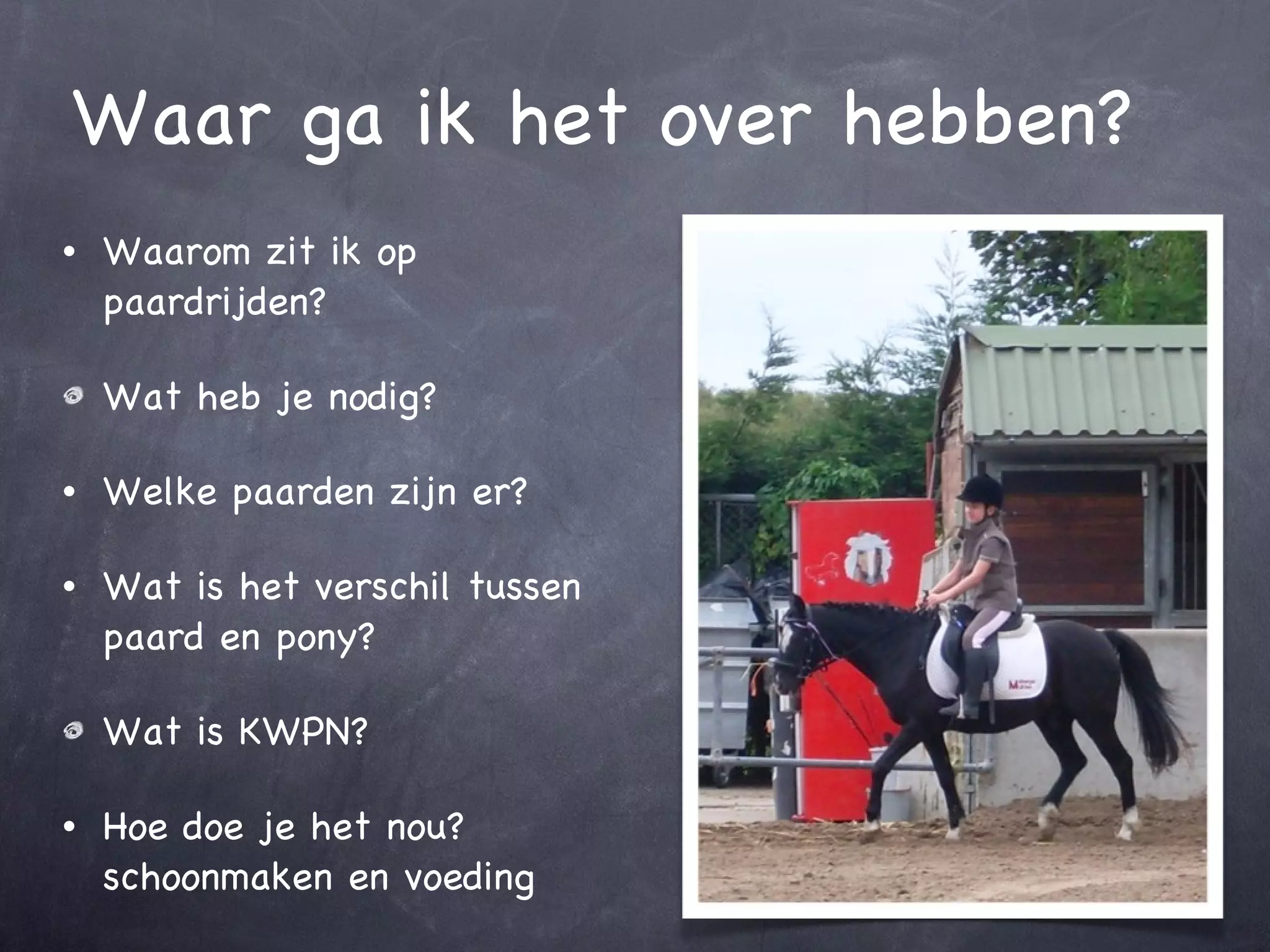 Spreekbeurt paardrijden | PPT