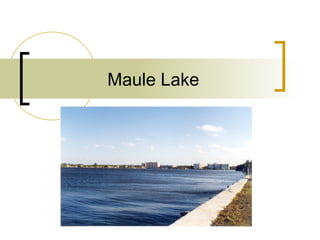 Maule Lake | PPT