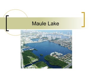 Maule Lake | PPT