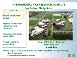 Ramil Mauleon: IRRI GALAXY: bioinformatics for rice scientists | PPTX