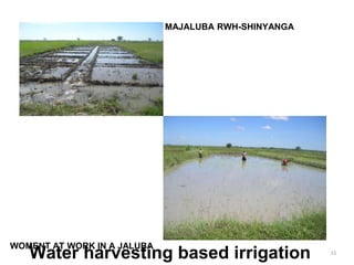 Maureen Mnimbo: Gender and irrigation | PPTX
