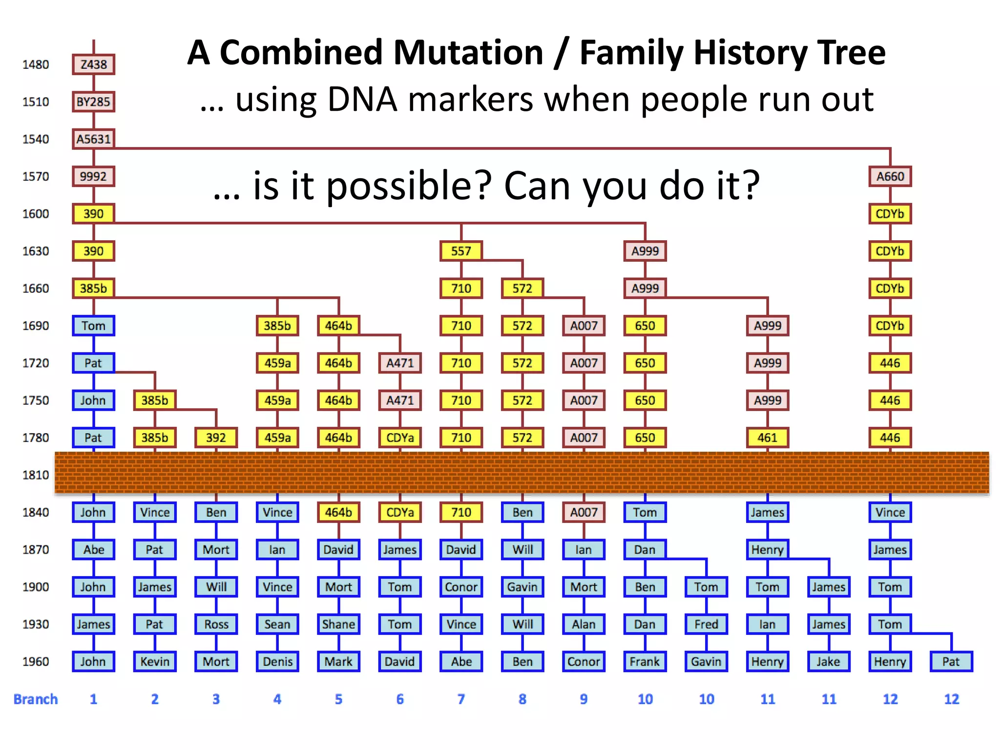 Building a Mutation History Tree | PPTX