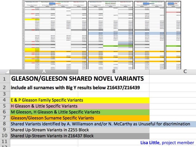 Building a Mutation History Tree | PPTX | Genealogy and Ancestry ...