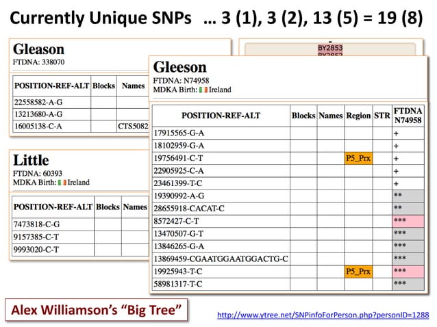 Building a Mutation History Tree | PPTX | Genealogy and Ancestry ...