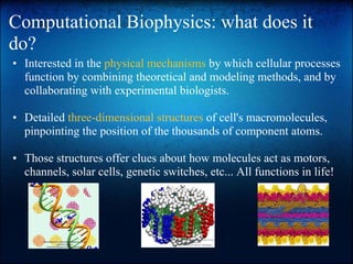 Mauricio carrillo tripp | PDF