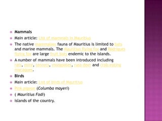 Mauritius mandla | PPTX