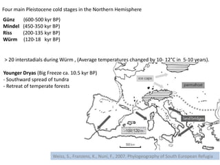 Pleistocene Refugia and Distribution of Tree Species in the Alps | PDF ...