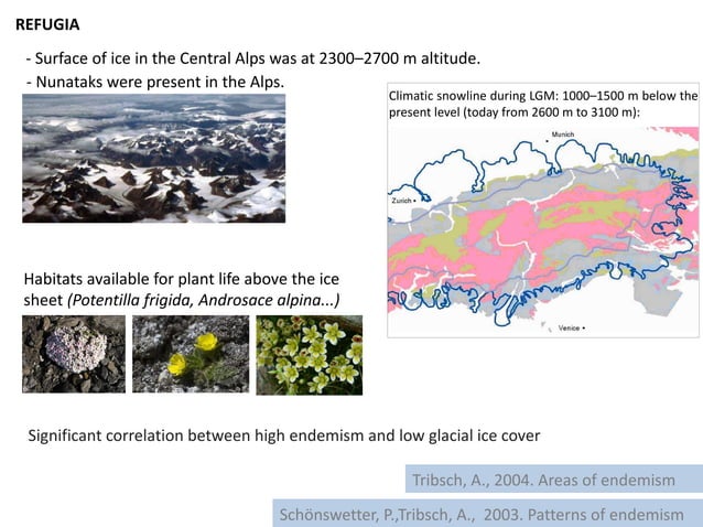 Pleistocene Refugia and Distribution of Tree Species in the Alps | PDF ...