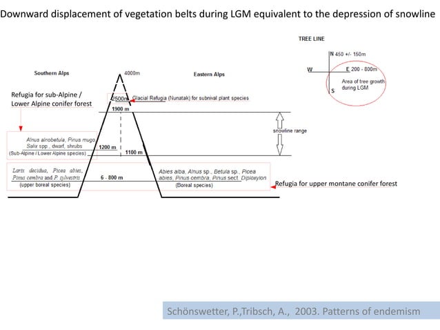 Pleistocene Refugia and Distribution of Tree Species in the Alps | PDF ...