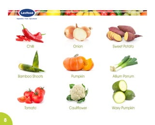 Mẫu Thiết kế Brochure công ty thực phẩm Lavifood | PDF