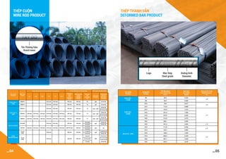 Mẫu thiết kế profile Công ty Thép Tây Đô | PDF