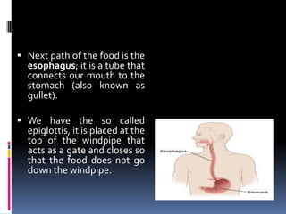 Mauyao, kelvin | PPT