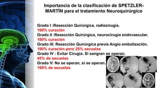 Malformaciones Arterio Venosas la importancia de su clasificación en ...
