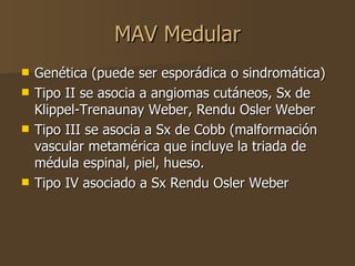 Mav Medular | PPT