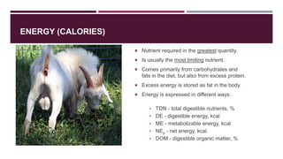 Small ruminant nutrition and the problems that arise from poor ...