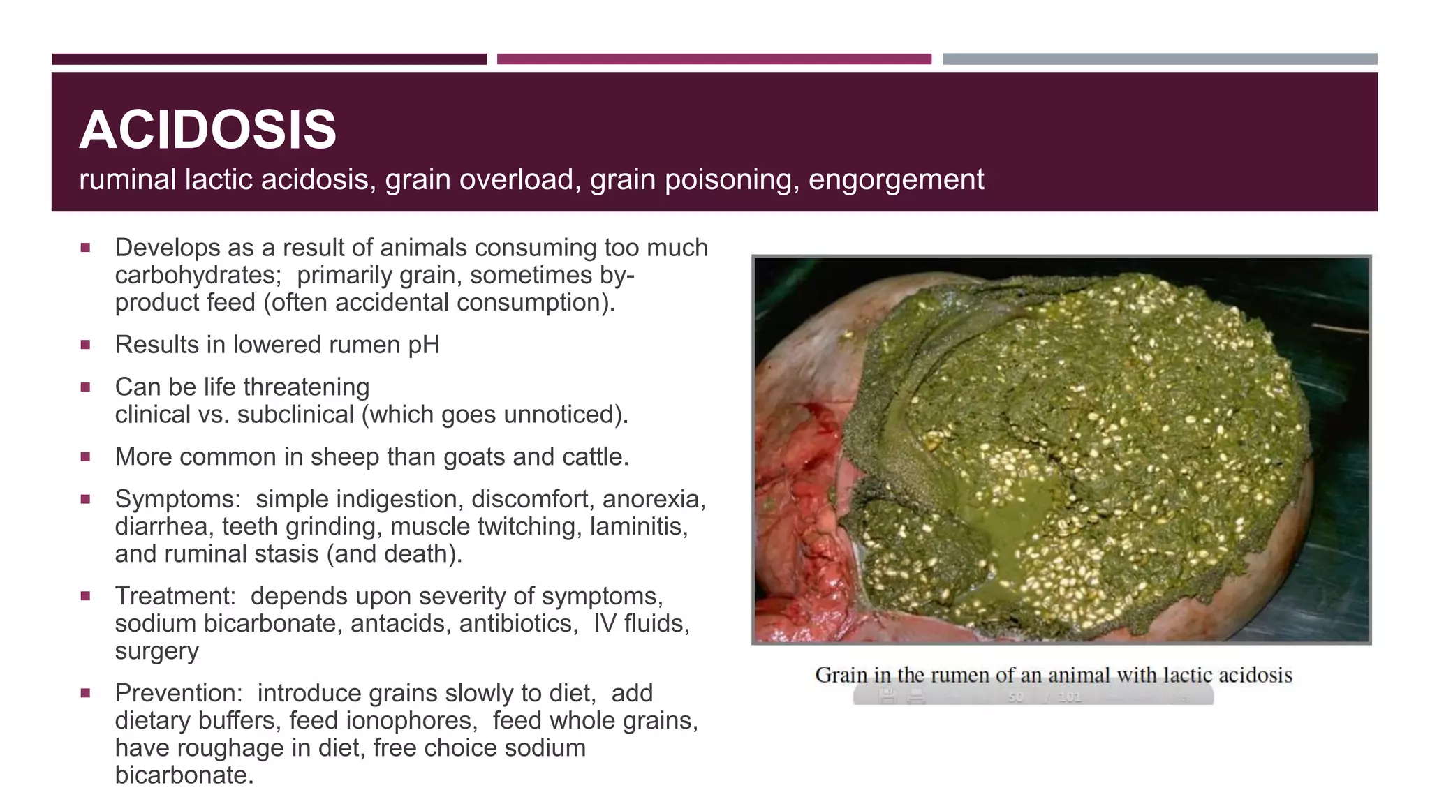 On overview of disease conditions in small ruminants | PPTX
