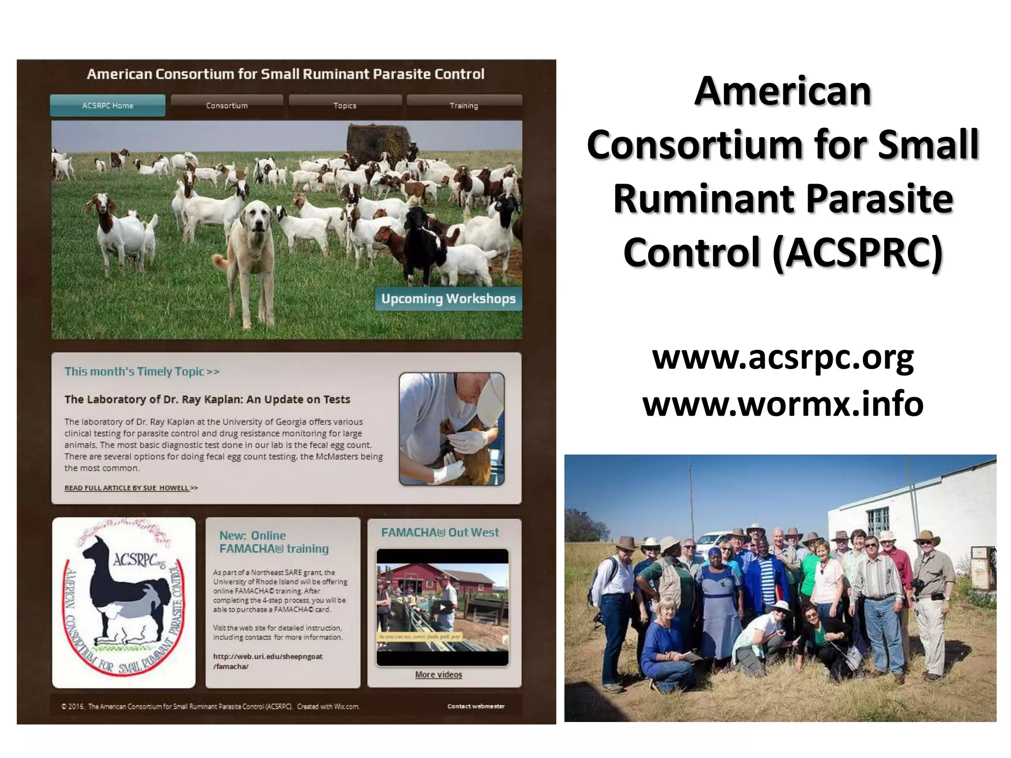 Current recommendations for internal parasite control in small ruminants | PPTX