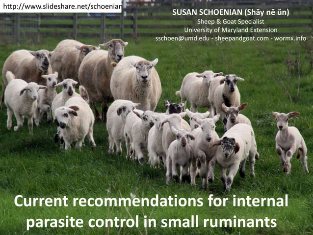 Current recommendations for internal parasite control in small ruminants | PPTX