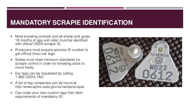 Usda Scrapie Tags
