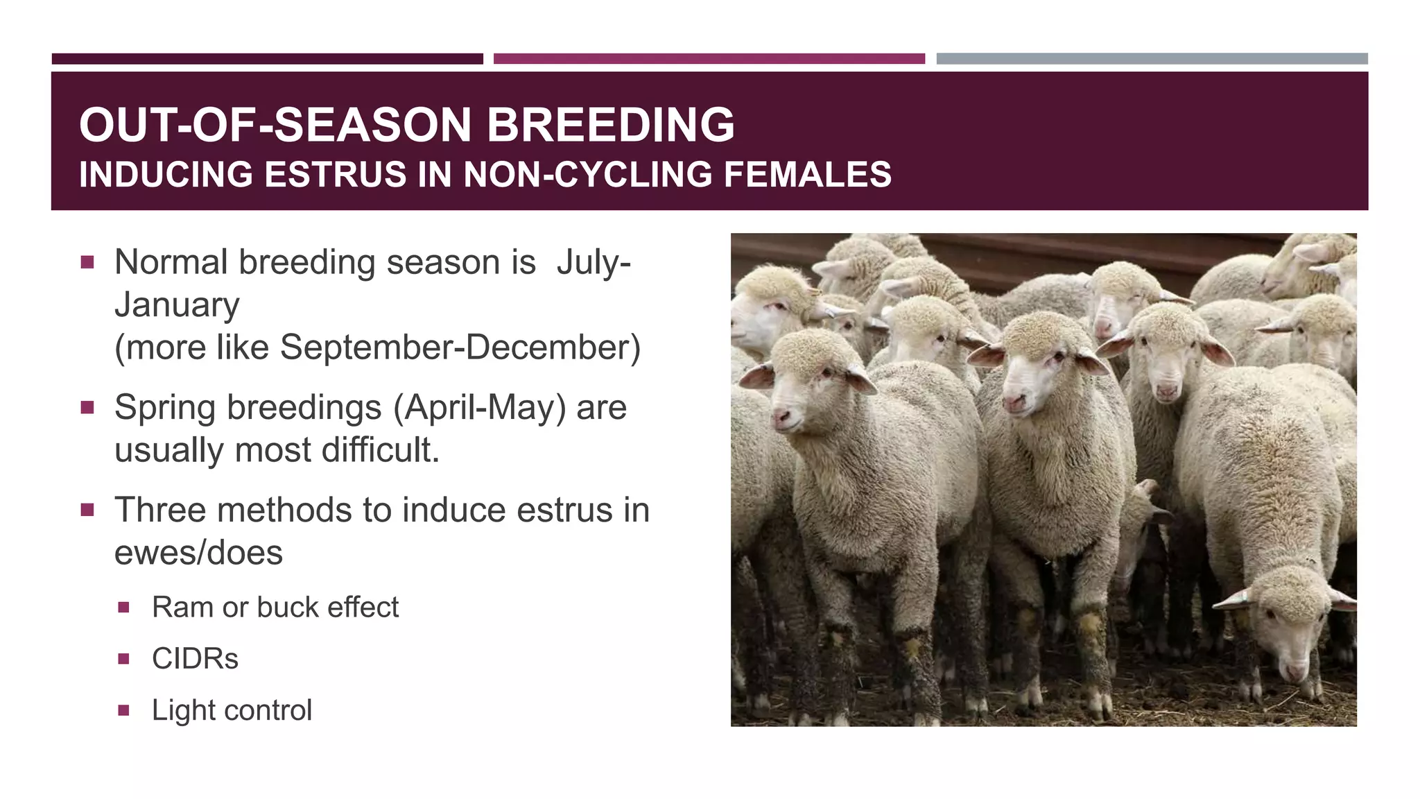 Small ruminant reproduction and opportunities to enhance reproductive ...