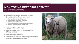 Small ruminant reproduction and opportunities to enhance reproductive ...