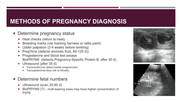 Small ruminant reproduction and opportunities to enhance reproductive ...