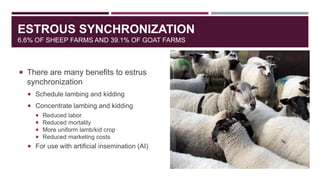 Small ruminant reproduction and opportunities to enhance reproductive ...