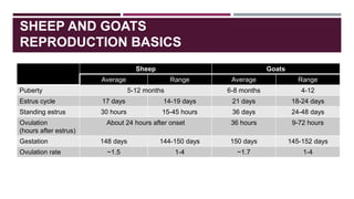 Small ruminant reproduction and opportunities to enhance reproductive ...