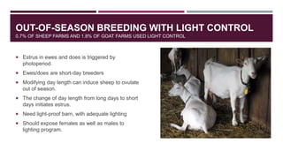 Small ruminant reproduction and opportunities to enhance reproductive ...