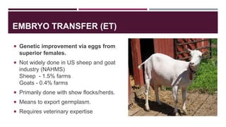 Small ruminant reproduction and opportunities to enhance reproductive ...