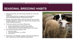 Small ruminant reproduction and opportunities to enhance reproductive ...