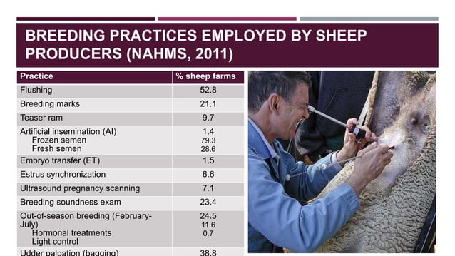 Small ruminant reproduction and opportunities to enhance reproductive ...