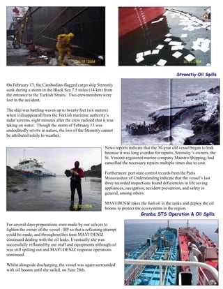 Mavi deniz profile brochures | PDF